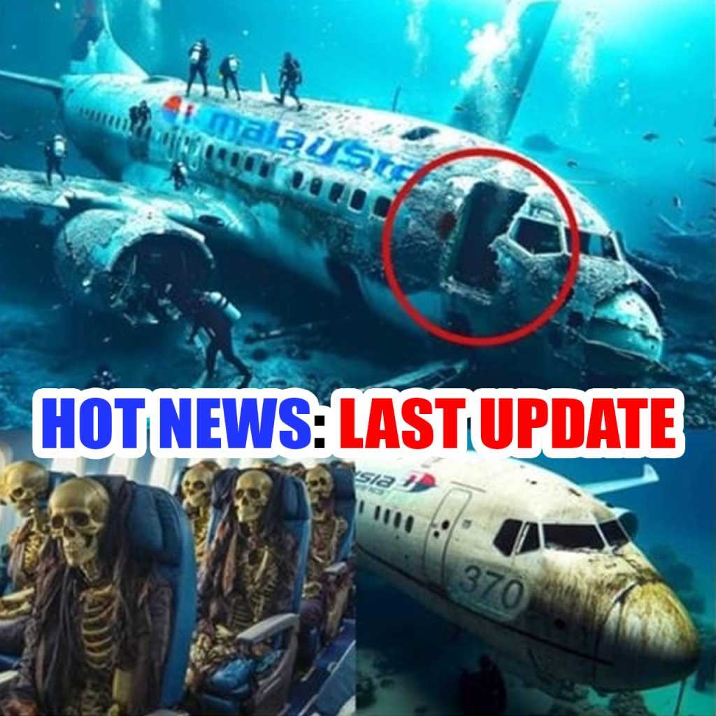 Latest information about the mysterious missing plane MH370: Image of ...